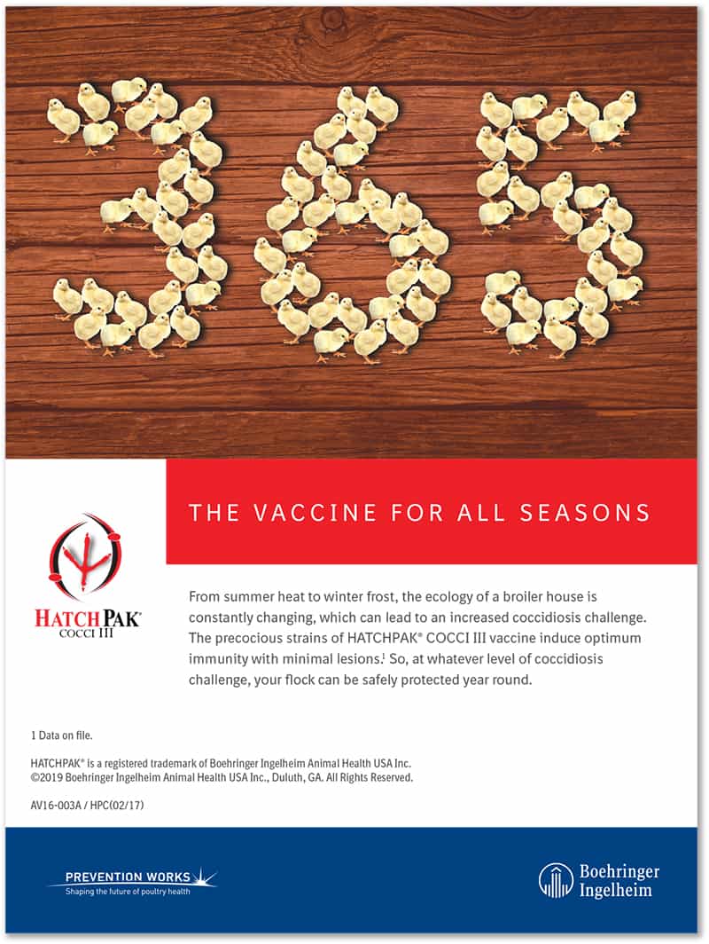 Boehringer Ingelheim – Poultry Division – HSP Marketing